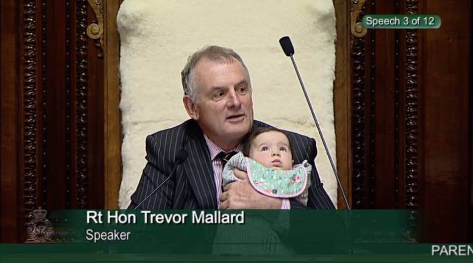 About Trevor Mallard « The Standard